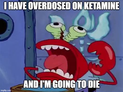 Mr Krabs Overdosed On Ketamine Imgflip