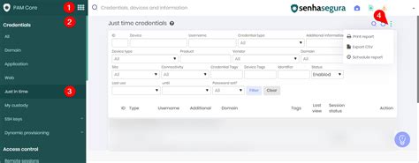 How To Access Just Time Credentials Report Pam Core Segura Community