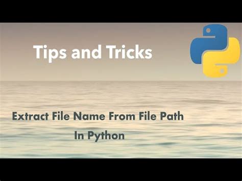 Python Getting A Filename From A Path Simplified Step By Step Guide