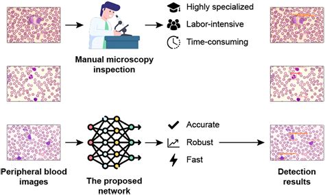 Microscopy Research And Technique Microscopy Journal Wiley Online Library