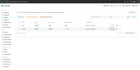 Litellm Api Doc Cometapi