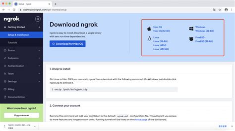 Ngrok （反向代理软件）注册安装使用 源码巴士