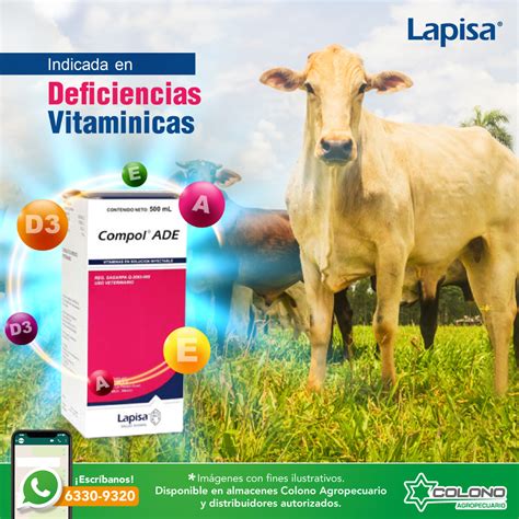 Colono Agropecuario Panamá ¡aproveche La Promo Especial De Lapisa 🎉 🐂 Por La Compra De Un