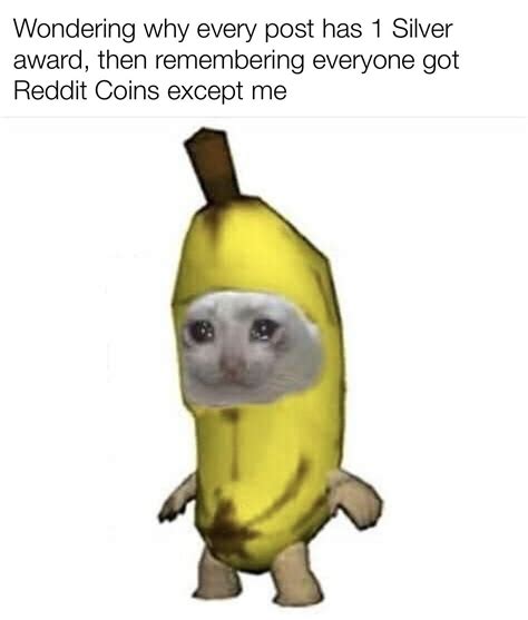 Bts Gif Memes Banana My XXX Hot Girl