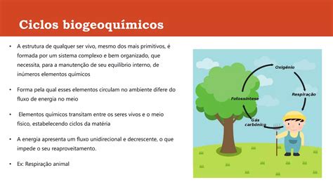 Ciclos Biogeoquimicos Ppt