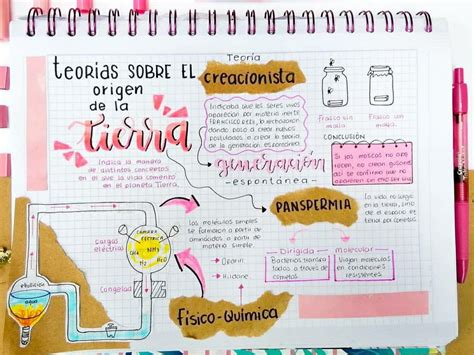 Mapas Conceptuales Bonitos Para Word En 2023 Colo