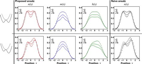 different cuts of the reduced single particle density matrix for the