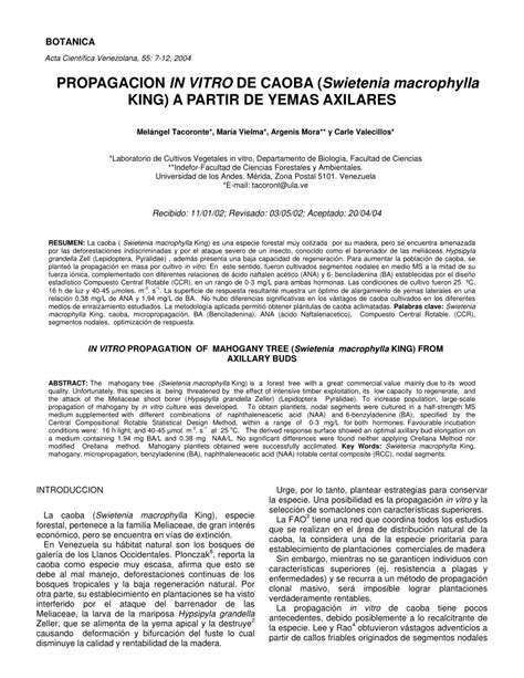 Pdf [in Vitro Propagation Of Mahogany Tree Swietenia Macrophylla