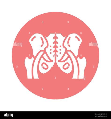 Pelvis Healthy Color Line Icon Isolated Vector Element Outline Pictogram For Web Page Mobile