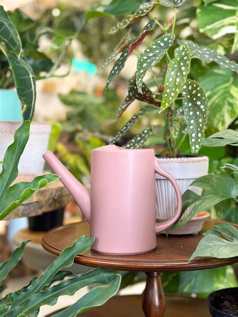 Roots Plant Company
