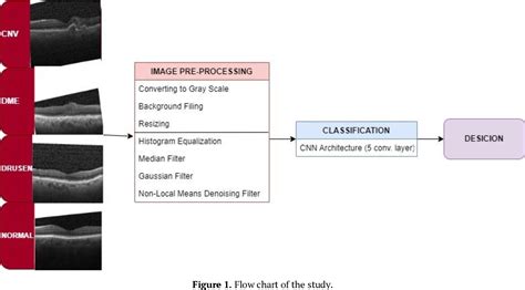 Figure 1 From Detection Of Retinal Diseases From Ophthalmological Images Based On Convolutional