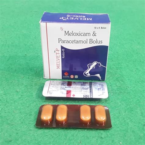 Best Veterinary Bolus Tablets Manufacturer In India