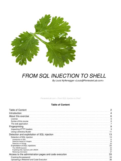 sql injection pdf sql php