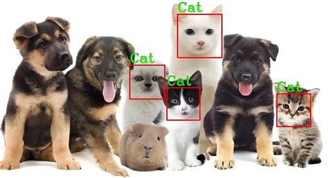 一文读懂为什么要用PyTorch AI x AIGC专属社区 51CTO COM 一文读懂为什么要用PyTorch AI x AIGC专属社区 51CTO COM