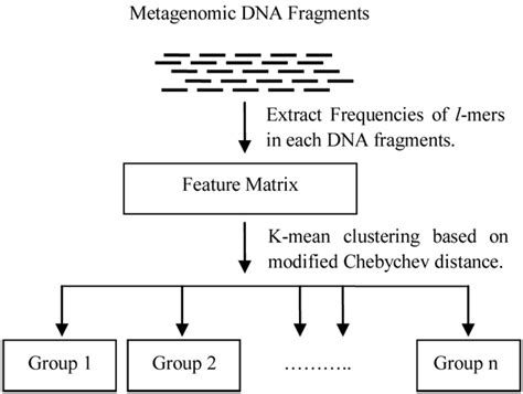 The Pipeline Of Our Binning Algorithm First The L Mer Frequencies Of