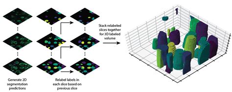 Whole Cell Segmentation Of Tissue Images With Human Level Performance Using Large Scale Data