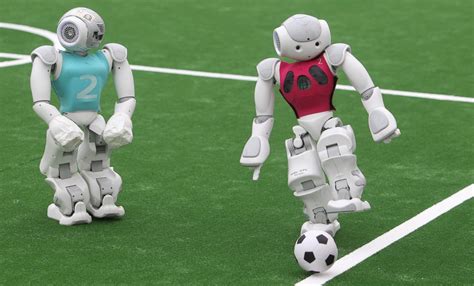 Mrl Robot