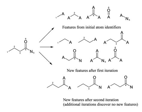 From Theory To Code A Deep Dive Into Molecular Extended Connectivity