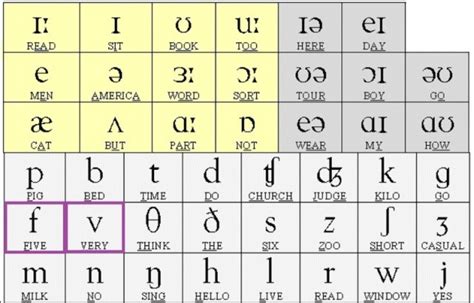 Звуки В Английском Языке Authoritydannie