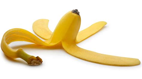 Can Papyrus Turn Bananas Into Eco Friendly Paper And Furniture Stockhead