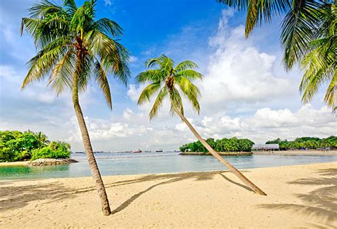 Singapore Beach Hd