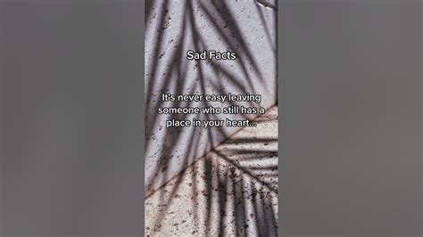 Relationship Laravel 8 Relationship Goals 8 Relationship Viral