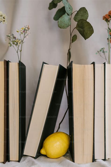 침대 위의 책 세 권과 레몬 한 개 사진 Unsplash의 책 이미지