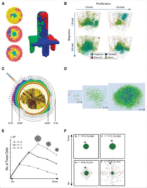 Figure 4 From A Review Of Cell Based Computational Modeling In Cancer Biology Semantic Scholar