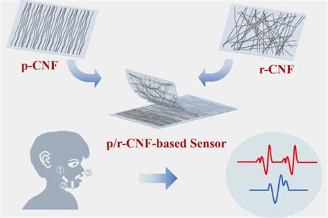 Flexible Strain Sensor With High Sensitivity And Wide Strain Detection