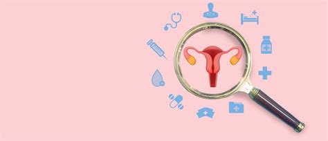 돋보기 포커스 케어 진단 자궁 장기 생식 기관 Hpv 유두종 바이러스 Hpv 백신 건강 및 의료 자궁 경 부암 위 통 보험 병원 여성 건강 관리 0명에 대한 스톡 사진 및