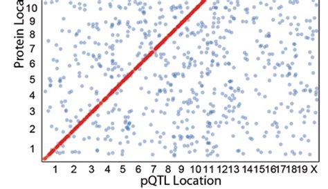 Gygi Lab Defines The Ways In Which Genetic Variants Affect Global