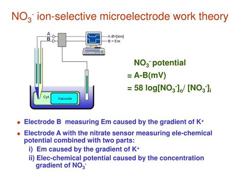 Ppt 玻璃 微电极技术及其在 植物胞内测量中的应用 Powerpoint Presentation Id4634080