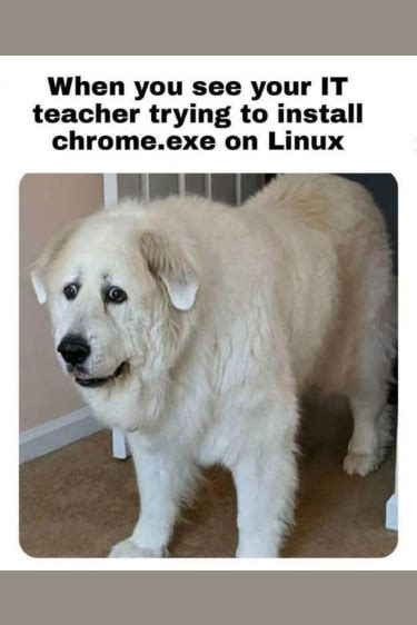 52 Linux Memes And Funny Pictures Ideas To Save Today Funny Pictures Linux Memes And More