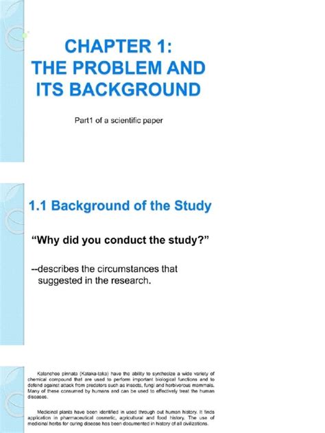 Research Paper Chapter 1 Pdf