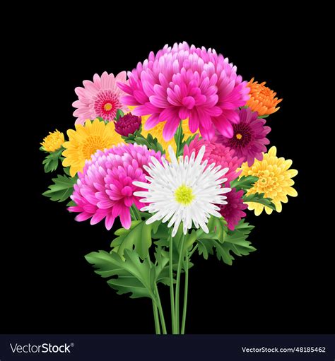 Realistic Chrysanthemum Bouquet Royalty Free Vector Image