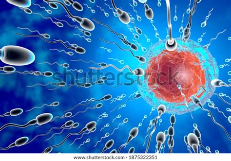 Science Sex Images Stock Photos D Objects Vectors Shutterstock