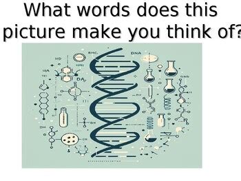 STRCUTURE OF DNA LESSON By Syeblues Education TPT
