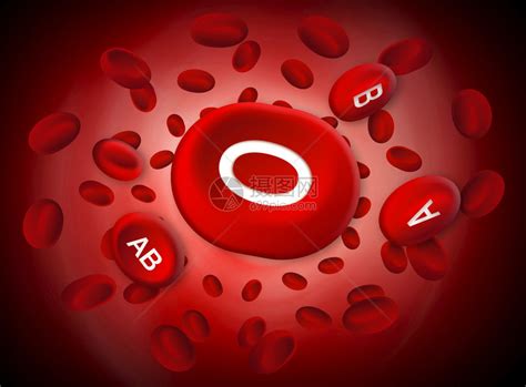 关于红血细胞的非常详细插画图片下载 正版图片503148418 摄图网