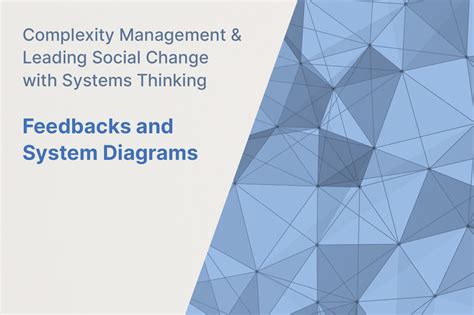 Complexity Curricula Video 3 Feedbacks And System Maps Cascade Institute