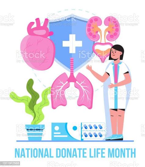 전국 기부 라이프 월은 4 월에 축하합니다 심장 신장 폐 기증자 개념 벡터 의료 웹 배너 응용 프로그램 인간 장기 기증자 이식