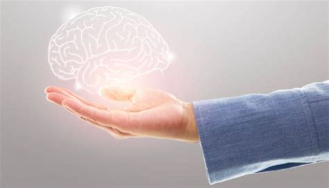 Unveiling The Power Of Photographic Memory Exploring Its Definition Characteristics And