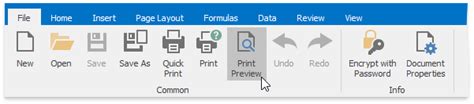 Print Spreadsheet Documents Winforms Controls Devexpress Documentation