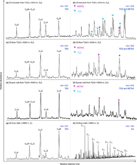 Representative Mass Chromatograms Of Mz 231 245 And 134 For Oil Oil