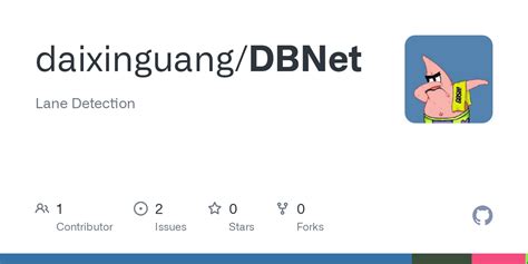 Github Daixinguangdbnet Lane Detection