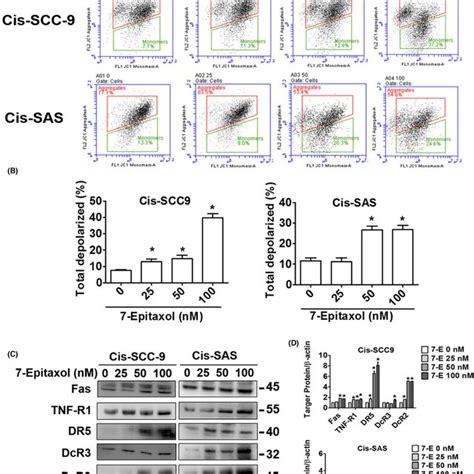 Intrinsic Pathway And The Extrinsic Pathway Were Regulated By