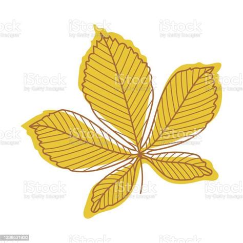 줄기 벡터 일러스트레이션의 계절 단풍으로 정맥이 있는 오렌지 체스트넛 가을 잎 0명에 대한 스톡 벡터 아트 및 기타 이미지 0명 10월 9월 Istock