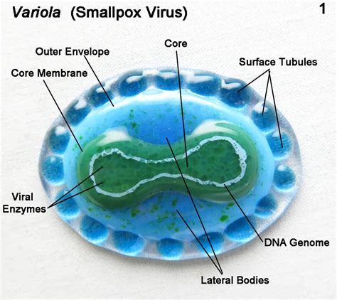 Wbbse Notes For Class 8 General Science And Environment Chapter 5 Analysis Of Natural Phenomena
