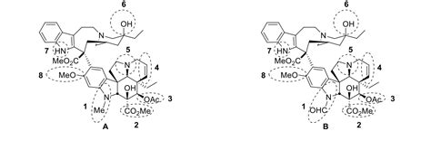 Solved Identify And Name Each Functional Group Associated Chegg Com