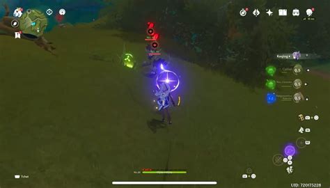 Testing Dendro Reaction With Keqing Low Level Dendro Characters R