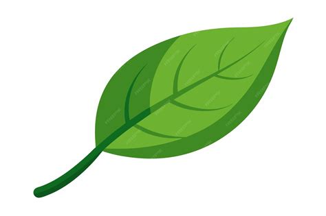 Premium Vector Cartoon Leaf Vector Art Colorful And Playful Leaf Illustration